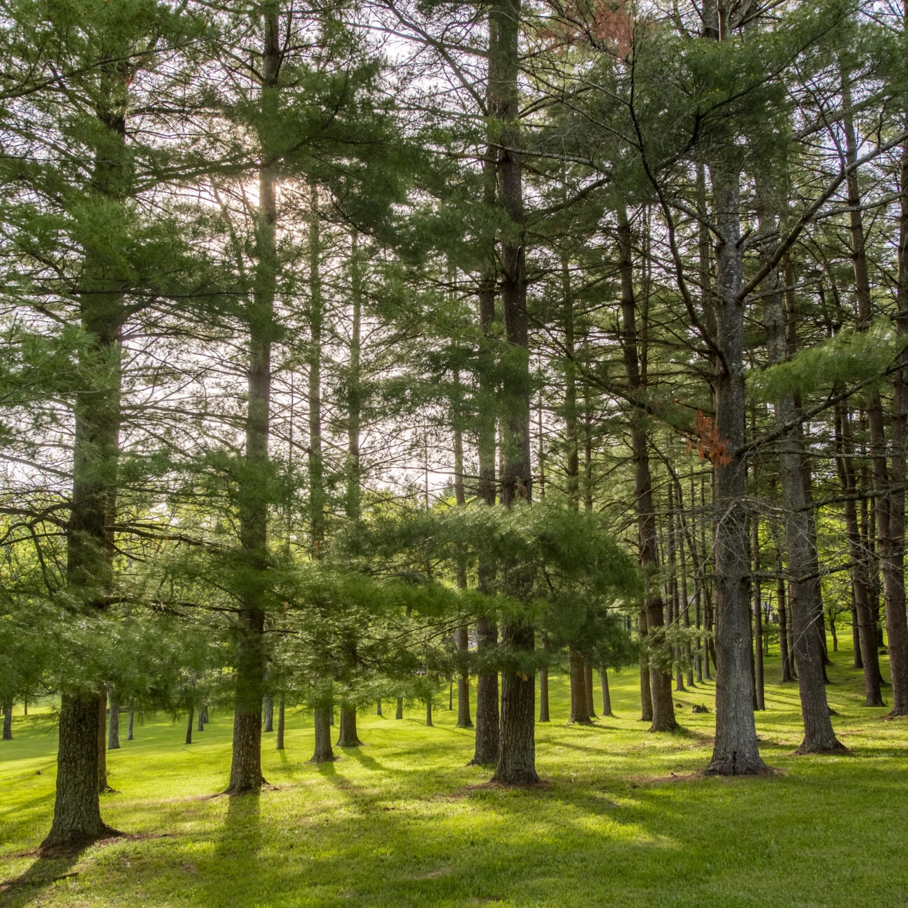 Tour Facilities - Cedar Oaks Wellness